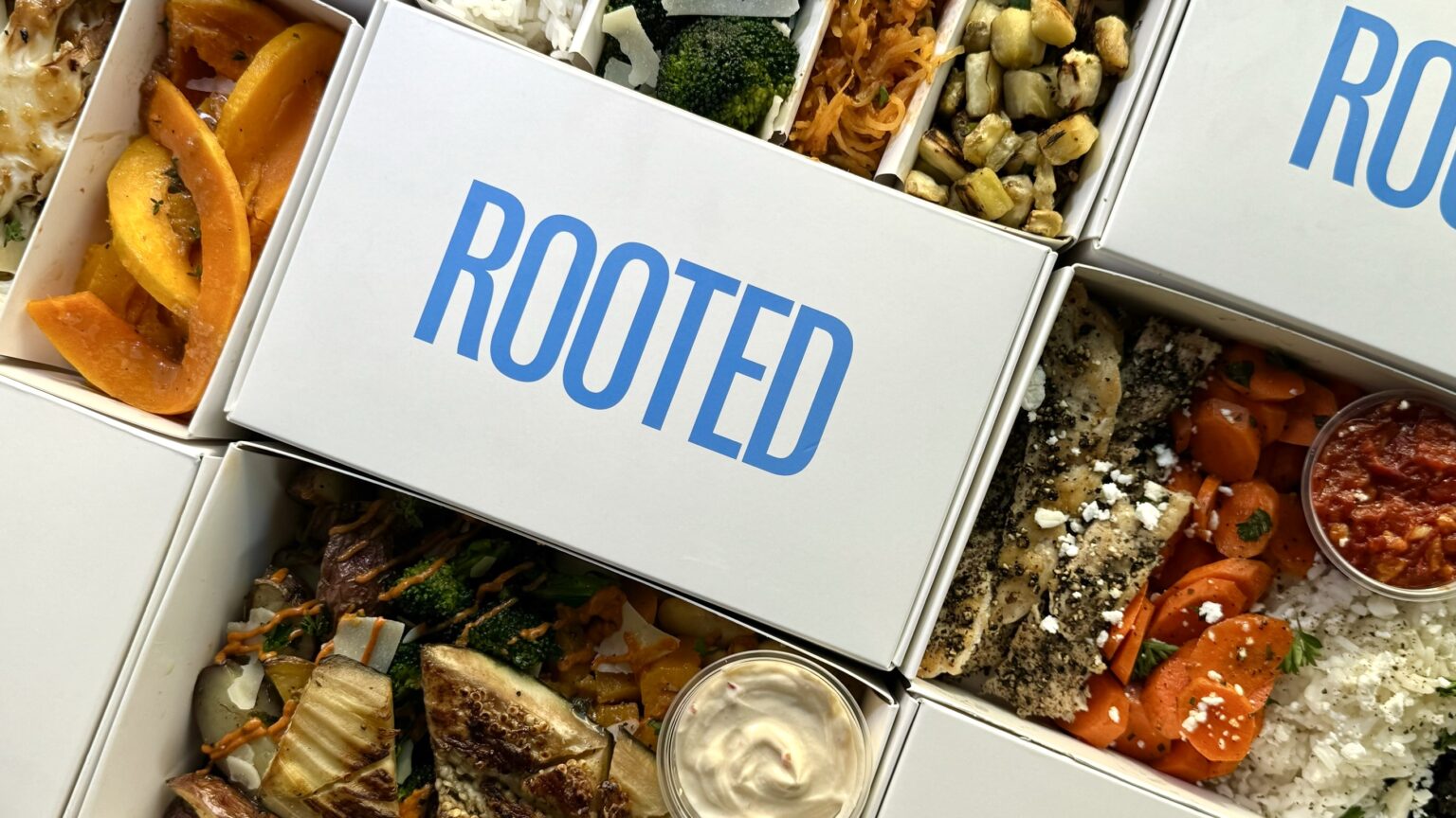 Rooted – Keep it simple.